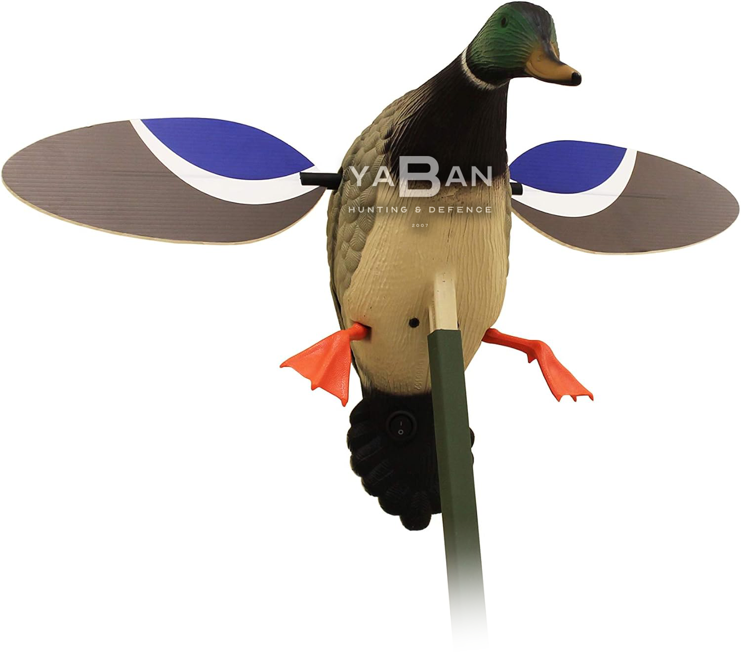 MOJO Baby Drake Erkek Motorlu Ördek Mühresi